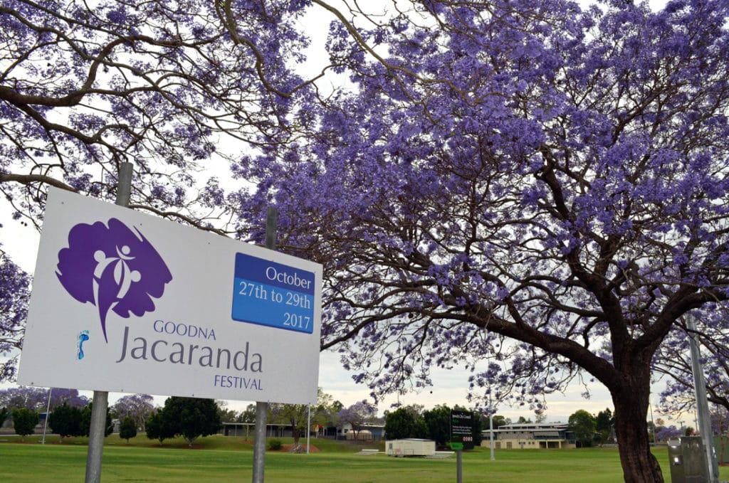 Five acts you just can't miss at the Goodna Jacaranda Festival ...