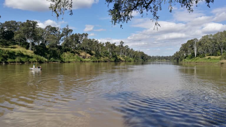 How Ipswich City Council plans to improve the region’s waterways ...