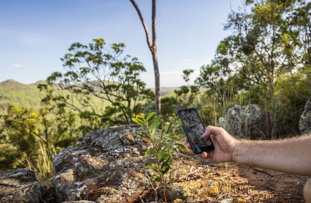 First Ipswich Eco-Hunt puts biodiversity in focus - Ipswich First