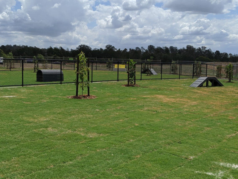 'Mega' celebration for opening of Ipswich's newest dog park - Ipswich First