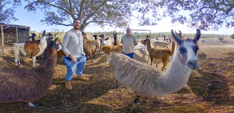 Google Trekker is mapping Ipswich’s insides - Ipswich First