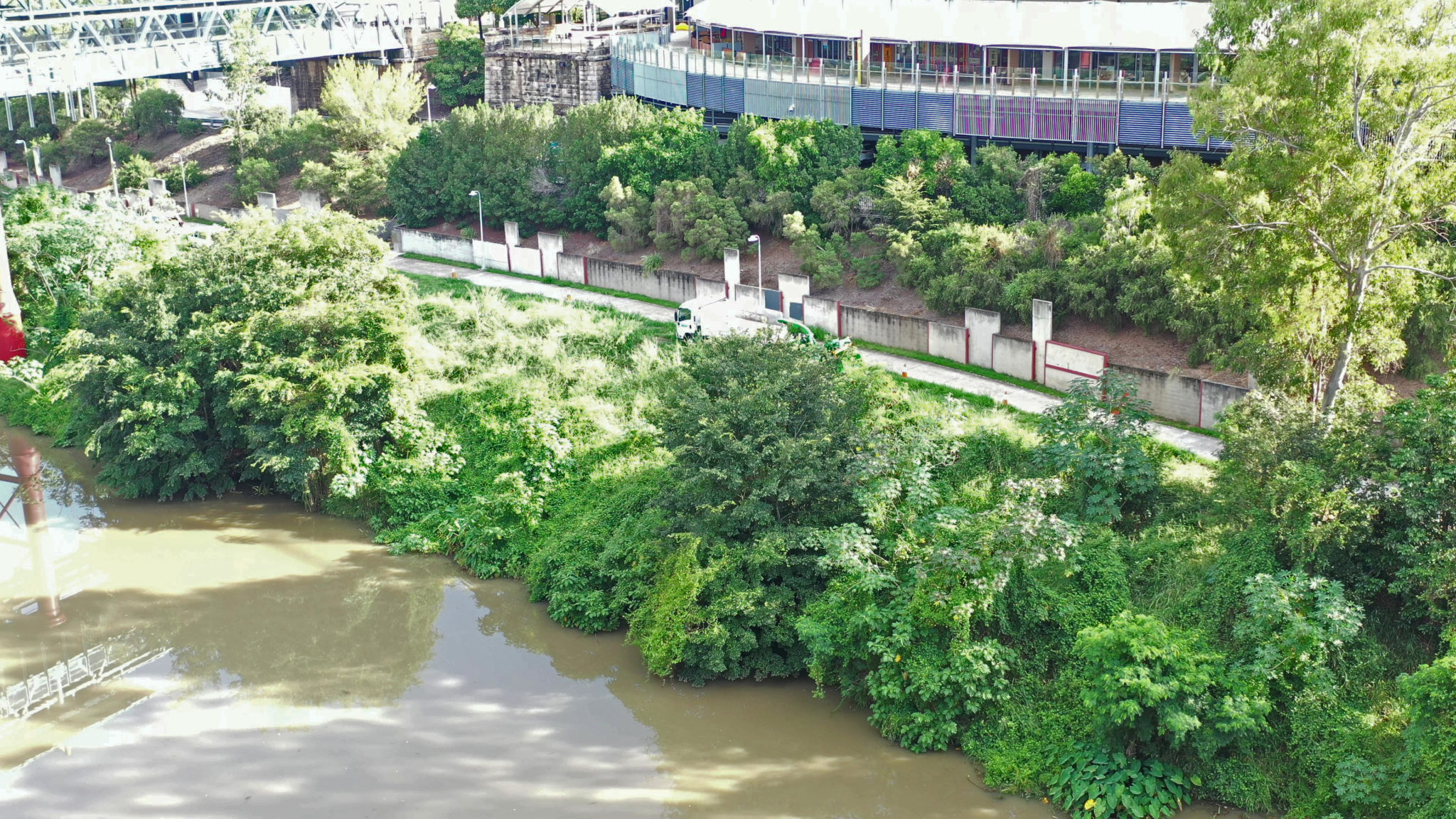 Bremer River banks receive a facelift - Ipswich First