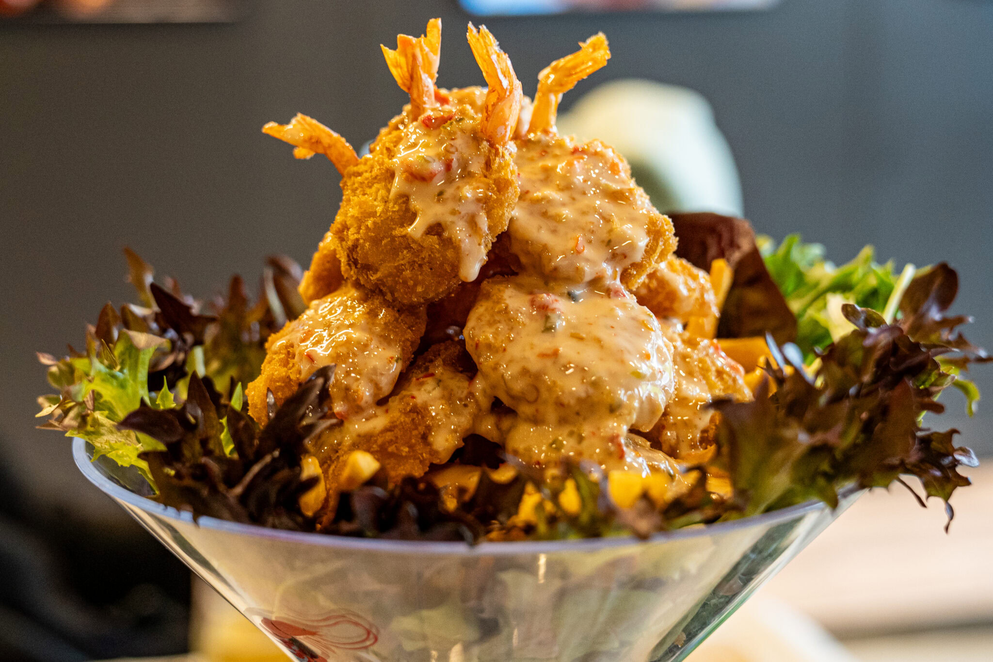 Kickin'Inn unleashes in the Nicholas Street Precinct - Ipswich First