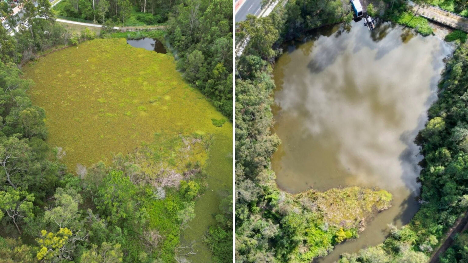 Before and after aerial images of salvinia weed treatment at the ...