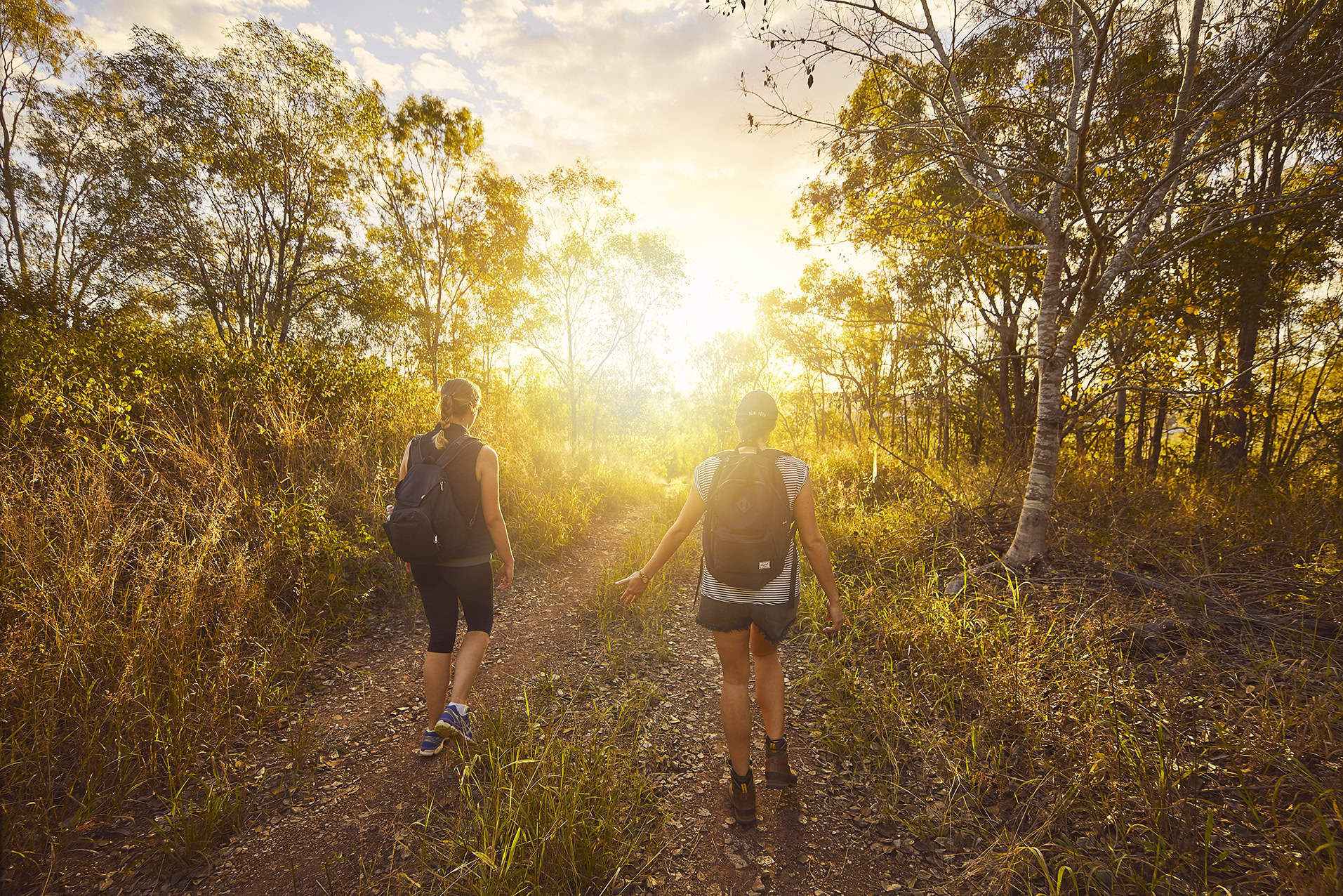 Enviroplan Report highlights wins for Ipswich’s natural environment ...